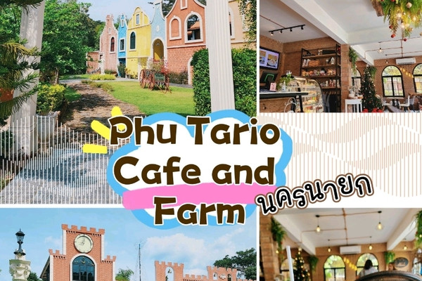 Phu Tario Cafe and Farm นครนายก | Trip.com นครนายก
