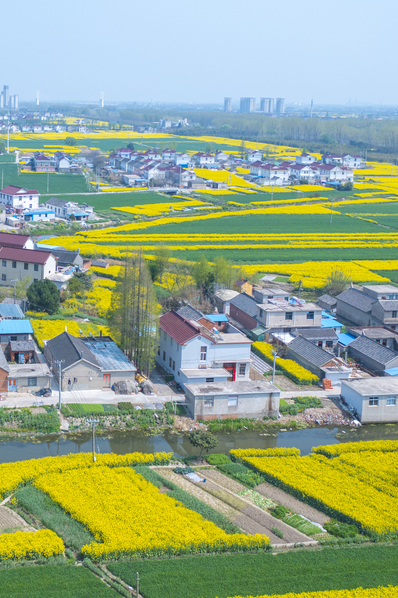Things to Do in Yancheng in 2024 - Top Attractions, Local Food, Hotels ...