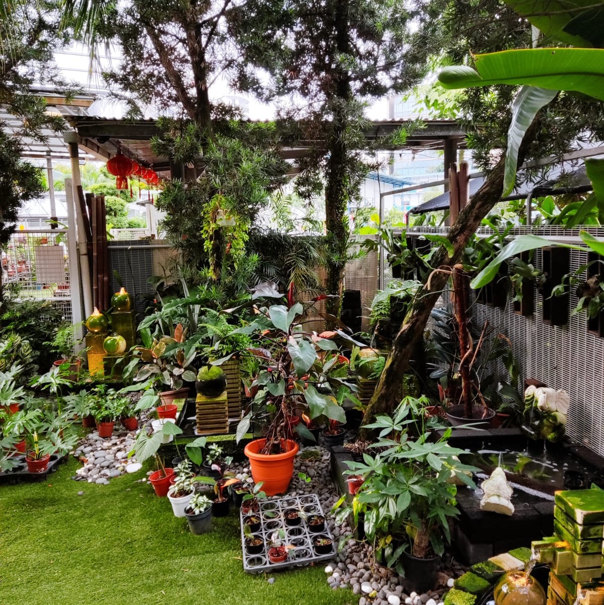 Flower Garden Design In The Philippines | Best Flower Site