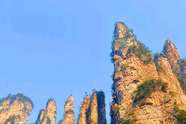 Peak Forest Vibes🌲 | Trip.com Zhangjiajie