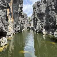 Kunming’s Shilin Stone Forest: Nature’s Trippy Wonderland 🌄 | Trip.com ...