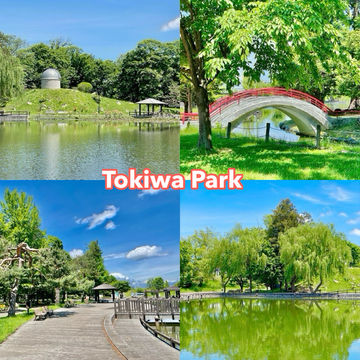 Serenity in Tokiwa Park | Trip.com Asahikawa