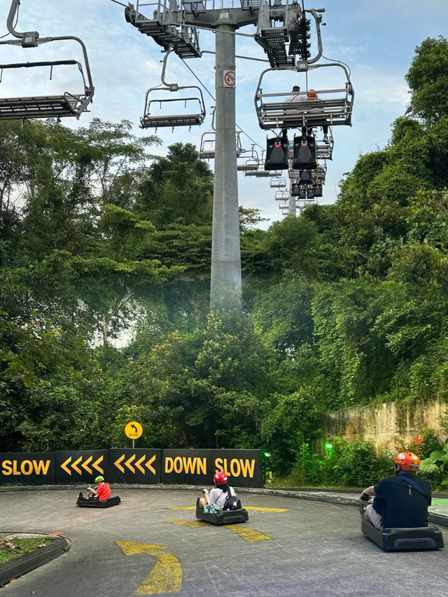 Skyline Luge Singapore: Thrills with a View | Trip.com Singapore