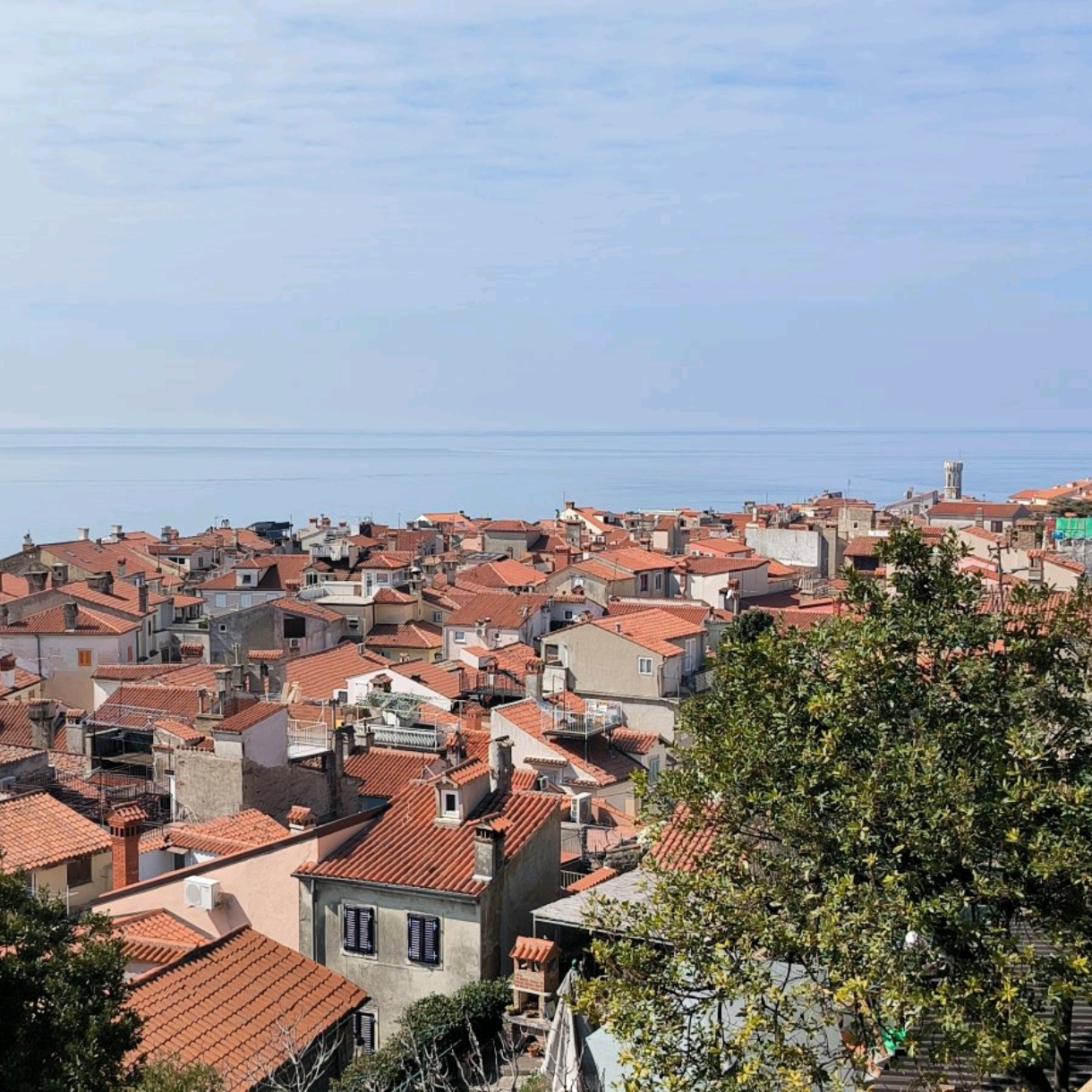 Piran Travel Guide 2023 - Things to Do, What To Eat & Tips | Trip.com