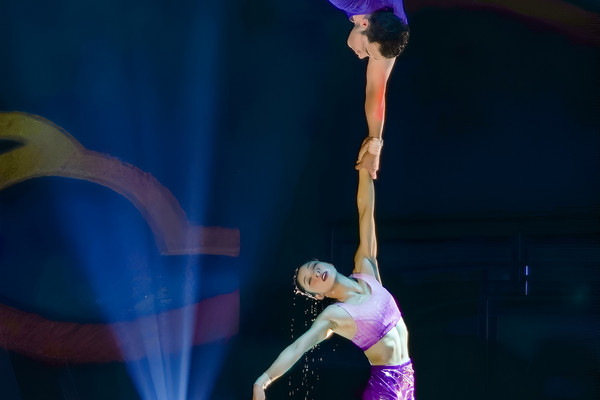 Shanghai Circus City | Sweating, screaming, clapping hands | Trip.com ...