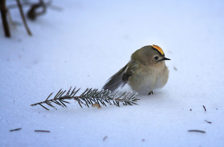 Things to Do in Pucheng in 2025 - Top Attractions, Local Food, Hotels ...