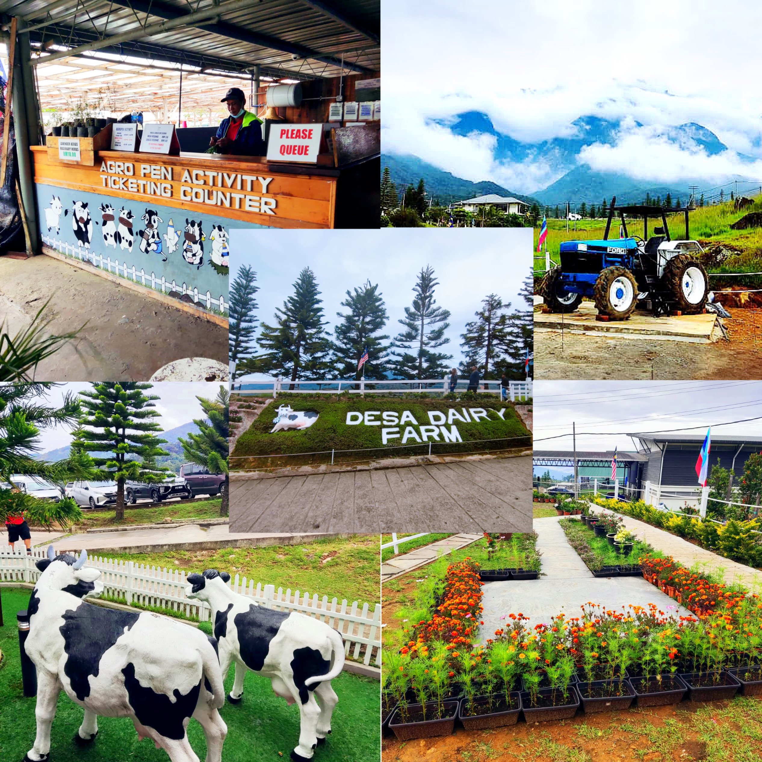 Kundasang Travel Guide 2024 - Things to Do, What To Eat & Tips | Trip.com