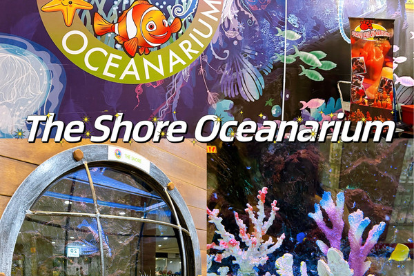 Exploring The Shore Oceanarium | Trip.com Melaka