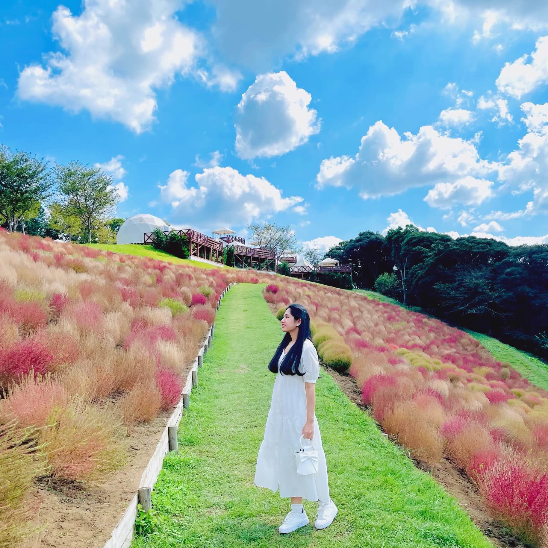 Things to Do in Futtsu in 2024 - Top Attractions, Local Food, Hotels ...