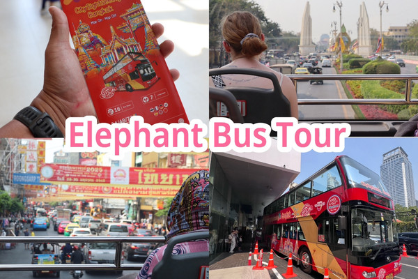 Elephant Bus Tour | Trip.com กรุงเทพฯ