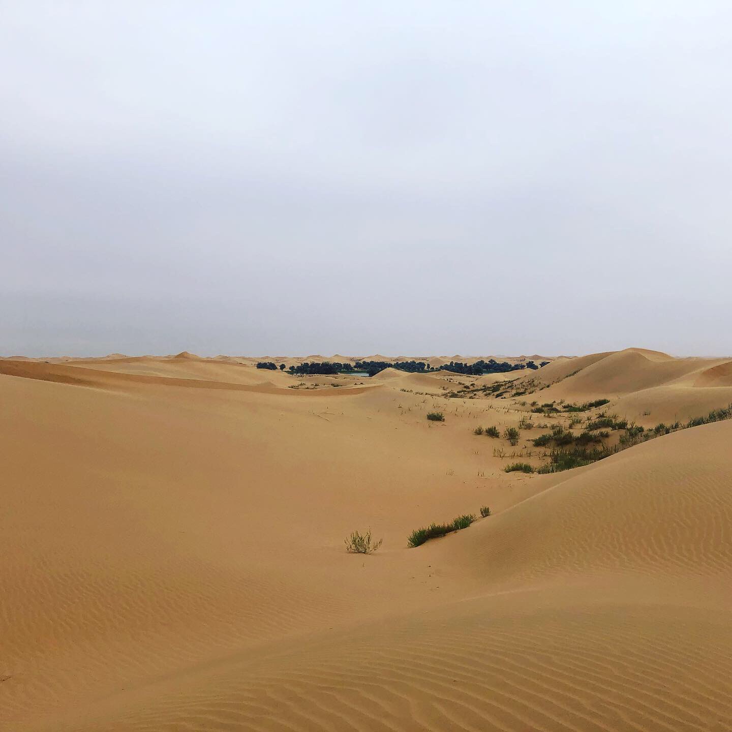 Ningxia Travel Guide 2024 - Things to Do, What To Eat & Tips | Trip.com