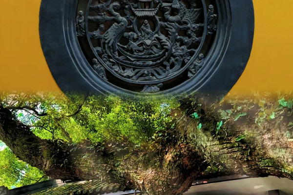 Hangzhou Lingyin Temple | Faxi Temple Day Tour Guide | Trip.com Hangzhou