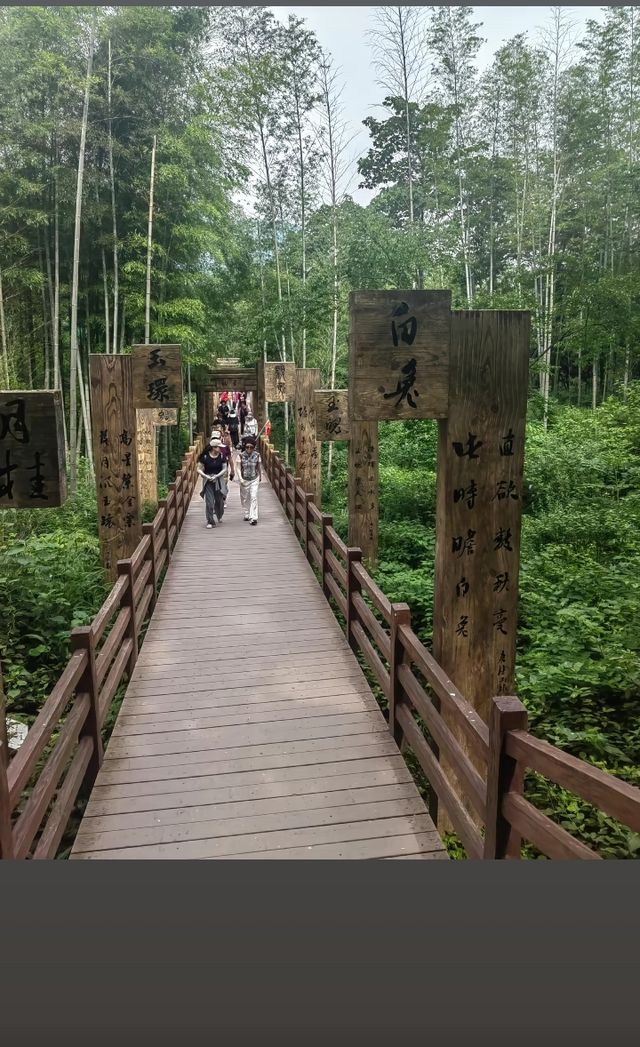 2026明月山爆款攻略｜人均600+玩遍雲海+溫泉+懸崖棧道｜Trip.com 宜春