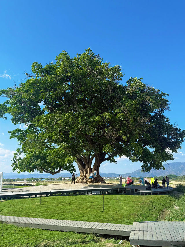 Enjoy Relaxing Rural Scenery On Warm Family Dali Trip | Trip.com Dali City