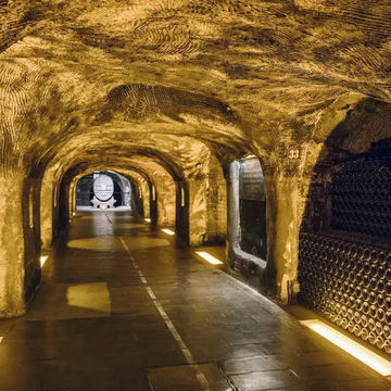 Moët & Chandon Champagne Tour @ Épernay 🇫🇷 | Trip.com Epernay