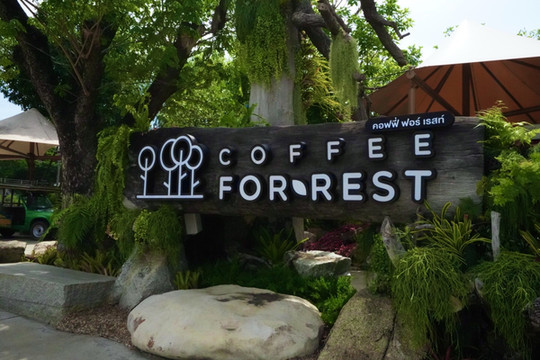 Coffee ForRest คาเฟ่เปิดใหม่ ถูกใจคนรักธรรมชาติ 🍃 | Trip.com อำเภอ บ้าน ...