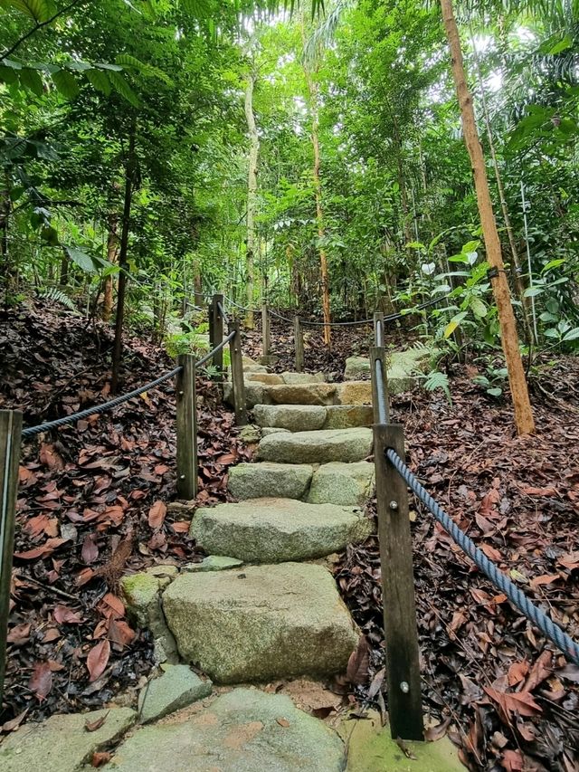 🇸🇬 Mingxin Foundation Rambler's Ridge | Trip.com Singapore