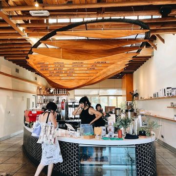 Dinosaur Coffee | Trip.com Los Angeles