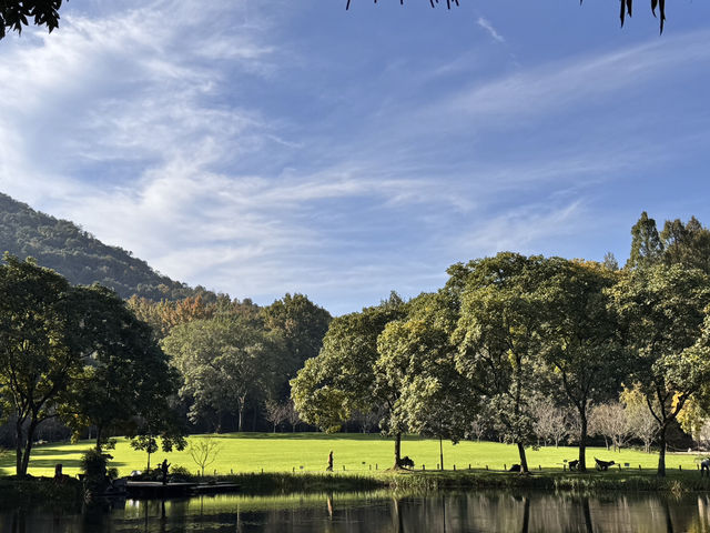 Green Haven Escape🌿 - Prince Bay Park) | Trip.com Hangzhou
