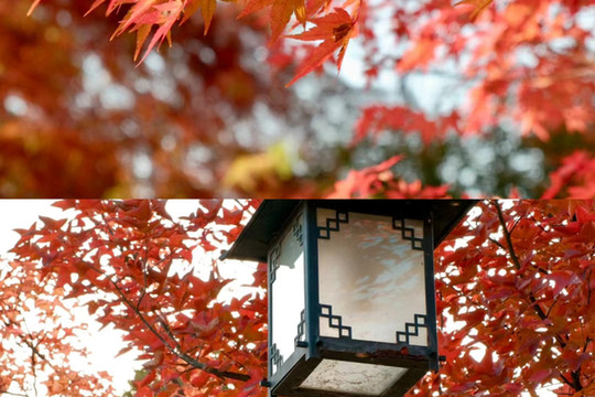 It's not that Erhai Lake is unaffordable, but that Xianghu Lake in ...