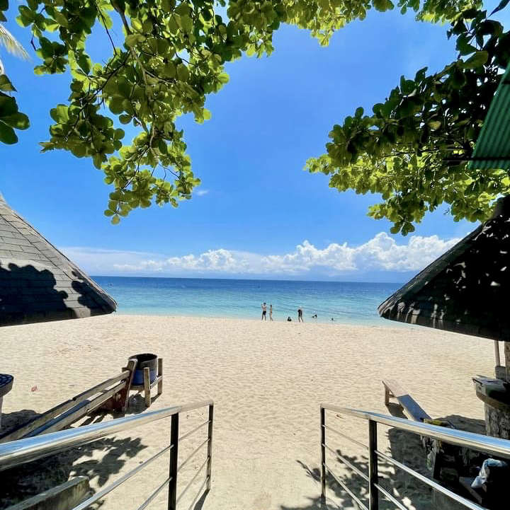 Moalboal Travel Guide 2024 - Things to Do, What To Eat & Tips | Trip.com