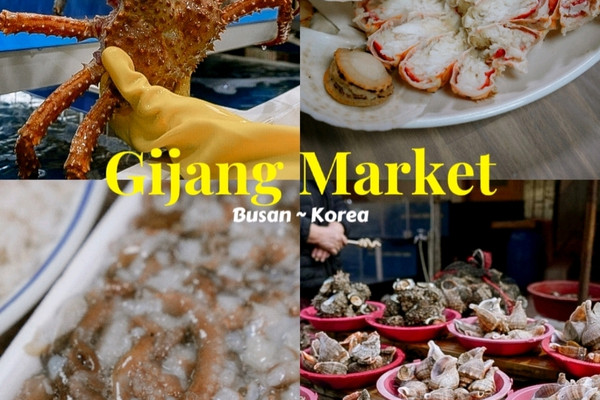 Gijang Market สวรรค์ของคนรักซีฟู้ด @ปูซาน! | Trip.com ปูซาน