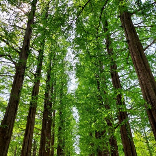 Chuncheon-si Travel Guide 2023 - Things to Do, What To Eat & Tips ...