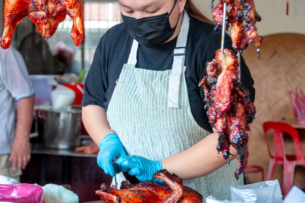 Tender and Tasty: Kuala Kurau Duck Rice | Trip.com Butterworth