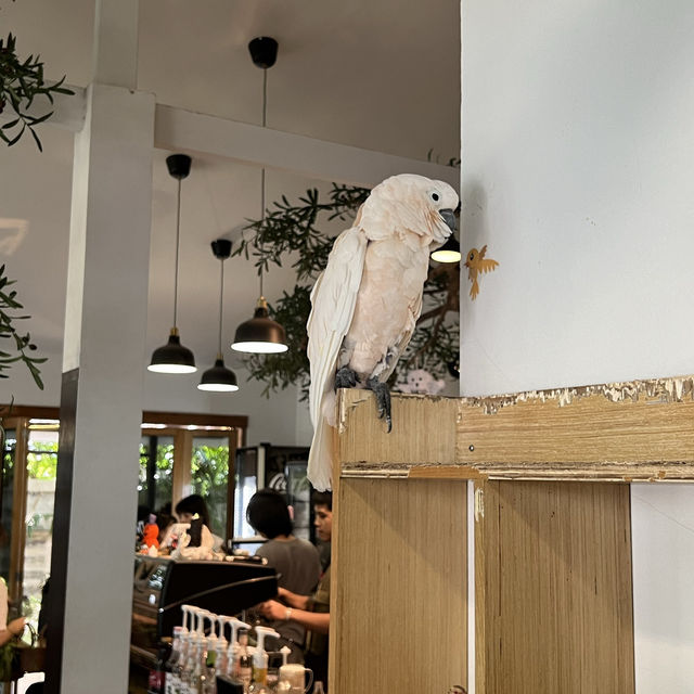 Little Zoo Garden Bangkok | Trip.com Bangkok