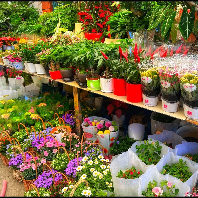 Shanghai Flower Market Pudong | Best Flower Site