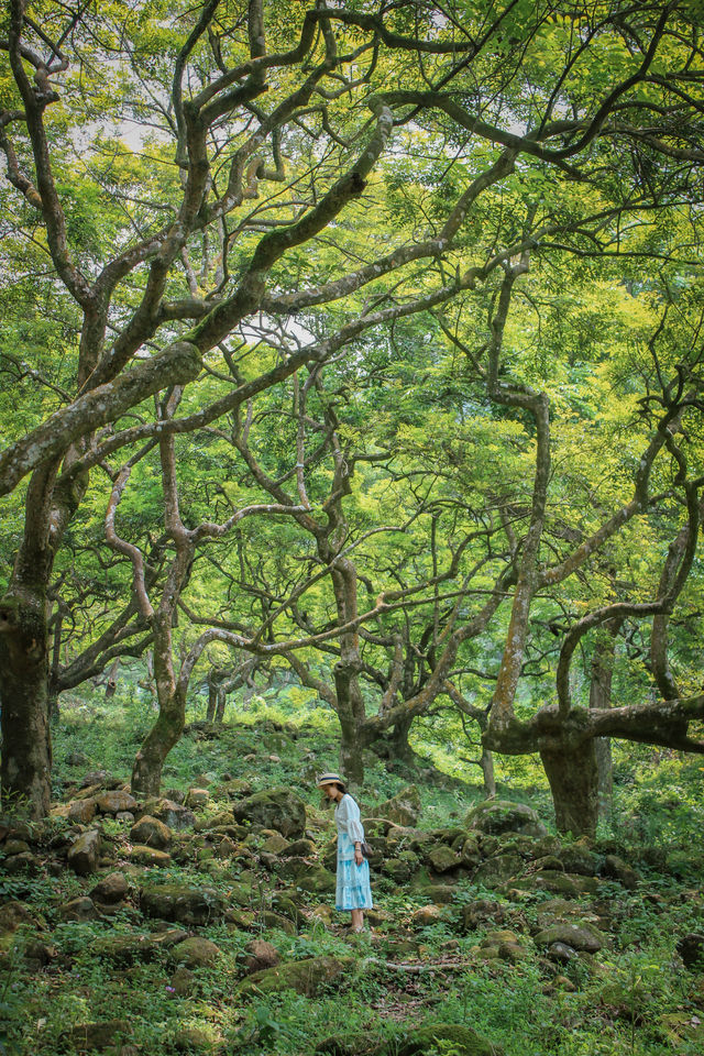 The Baizhang Greenway hiking trail in Zengcheng, Guangzhou, takes you ...