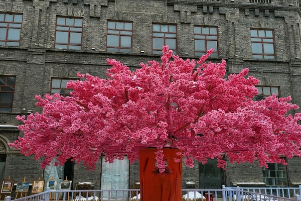 Chinese Baroque Laodaowai Harbin | Trip.com Chinese-Baroque Daowai Areas