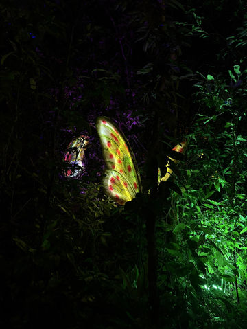 Sanya Phoenix Hill Park 🦋 | Trip.com Sanya