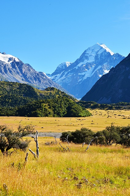 Things to Do in Xingyang in 2025 - Top Attractions, Local Food, Hotels ...