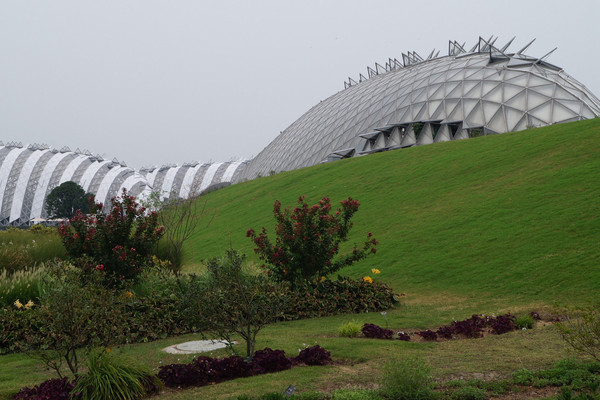 Botanical Bliss🌵 🌿 Shanghai Botanical Garden | Trip.com Shanghai