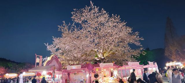 Covered in Cherry Blossom Clouds at Yuanzhu | Complete Guide to Cherry ...
