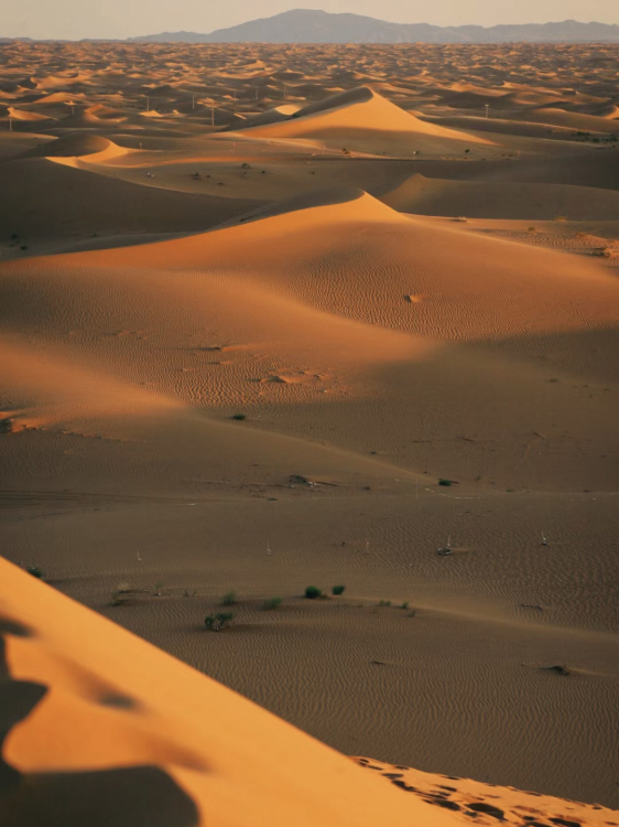 Things to Do in Alxa in 2024 - Top Attractions, Local Food, Hotels ...