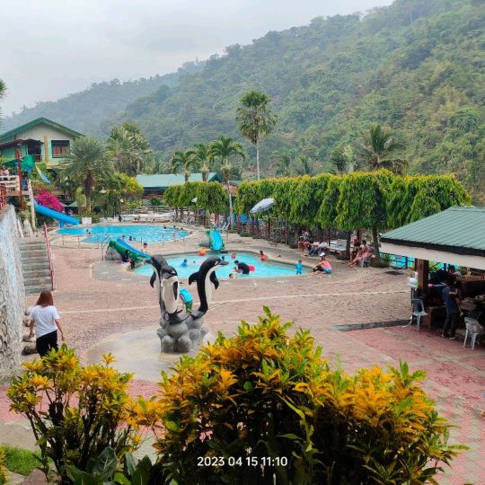 Tuba Travel Guide 2024 - Things to Do, What To Eat & Tips | Trip.com