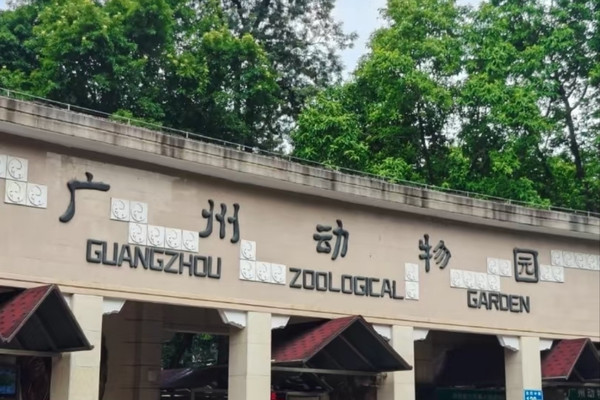 Guangzhou Zoo– A Green Oasis in the Heart of the City | Trip.com Guangzhou