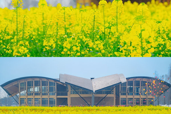 engdu, you understand romance! The first time seeing the multicolored ...