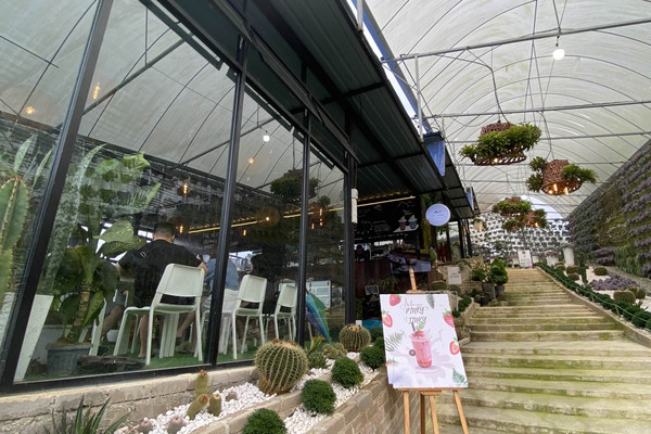 Glass House Cafe: A Hidden Cafe on a Mountain | Trip.com Cameron Highlands