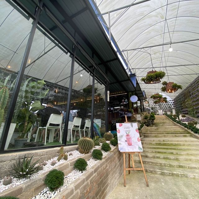 Glass House Cafe: A Hidden Cafe on a Mountain | Trip.com Cameron Highlands