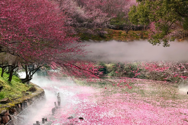 Qingming Festival Holiday Guide for Changxing: Enjoy Cultural ...