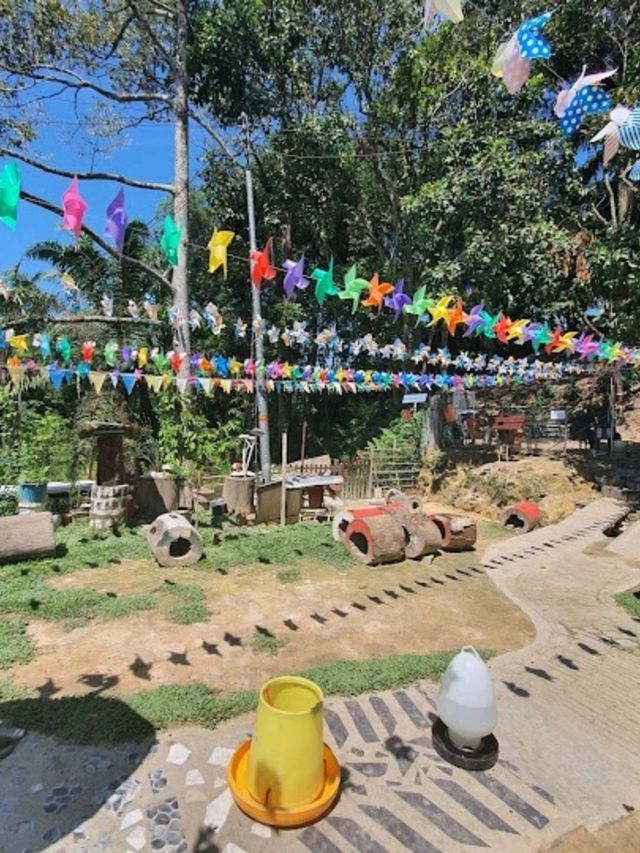 The Rainbow House - Rabbit and Stingless Bee Farm | Trip.com Sandakan ...