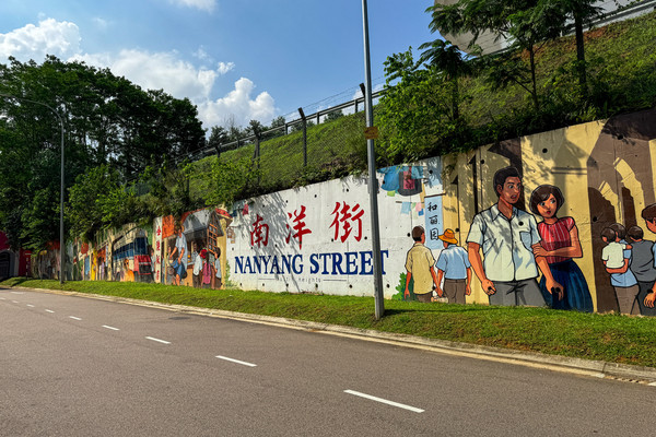 Vibrant Street Vibes at Nanyang Street in Mount Austin | Trip.com Mount ...