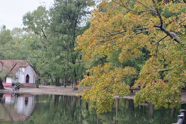 (Shanghai Gongqing Forest Park | Trip.com เซี่ยงไฮ้