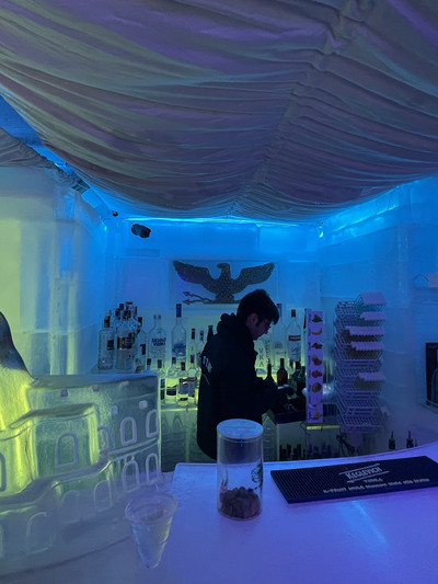Ice Bar Rome Open Bar