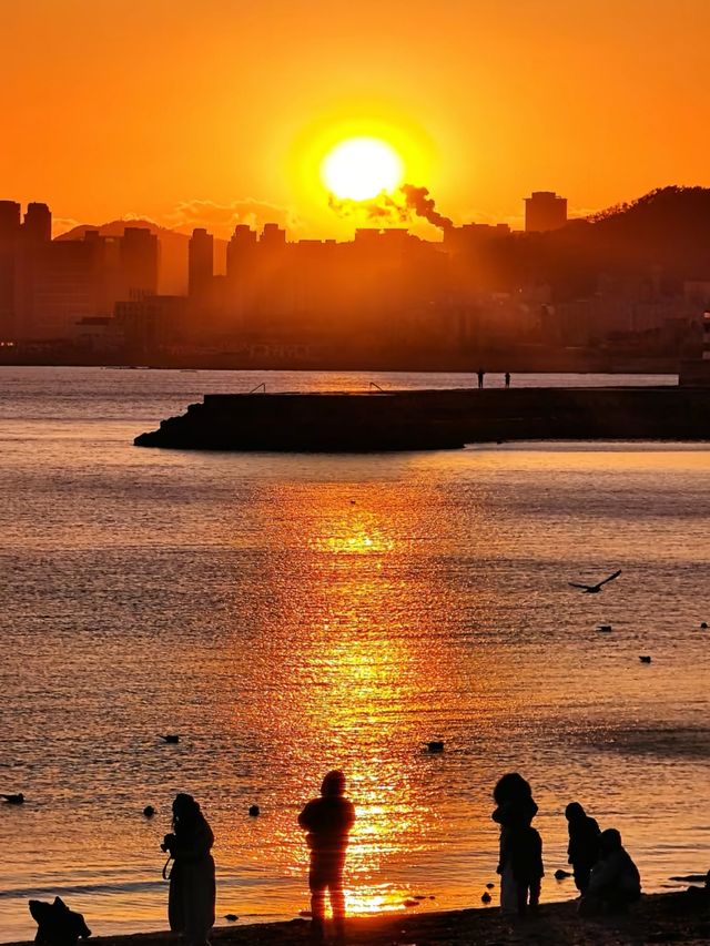 Dalian Xinghai Square Full Guide: Sunset Seagulls and the Cross-Sea ...