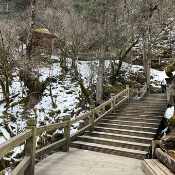 อุทยานโหมวหนีโกว (Munigou Valley) ประเทศจีน🇨🇳 | Trip.com Munigou Scenic ...