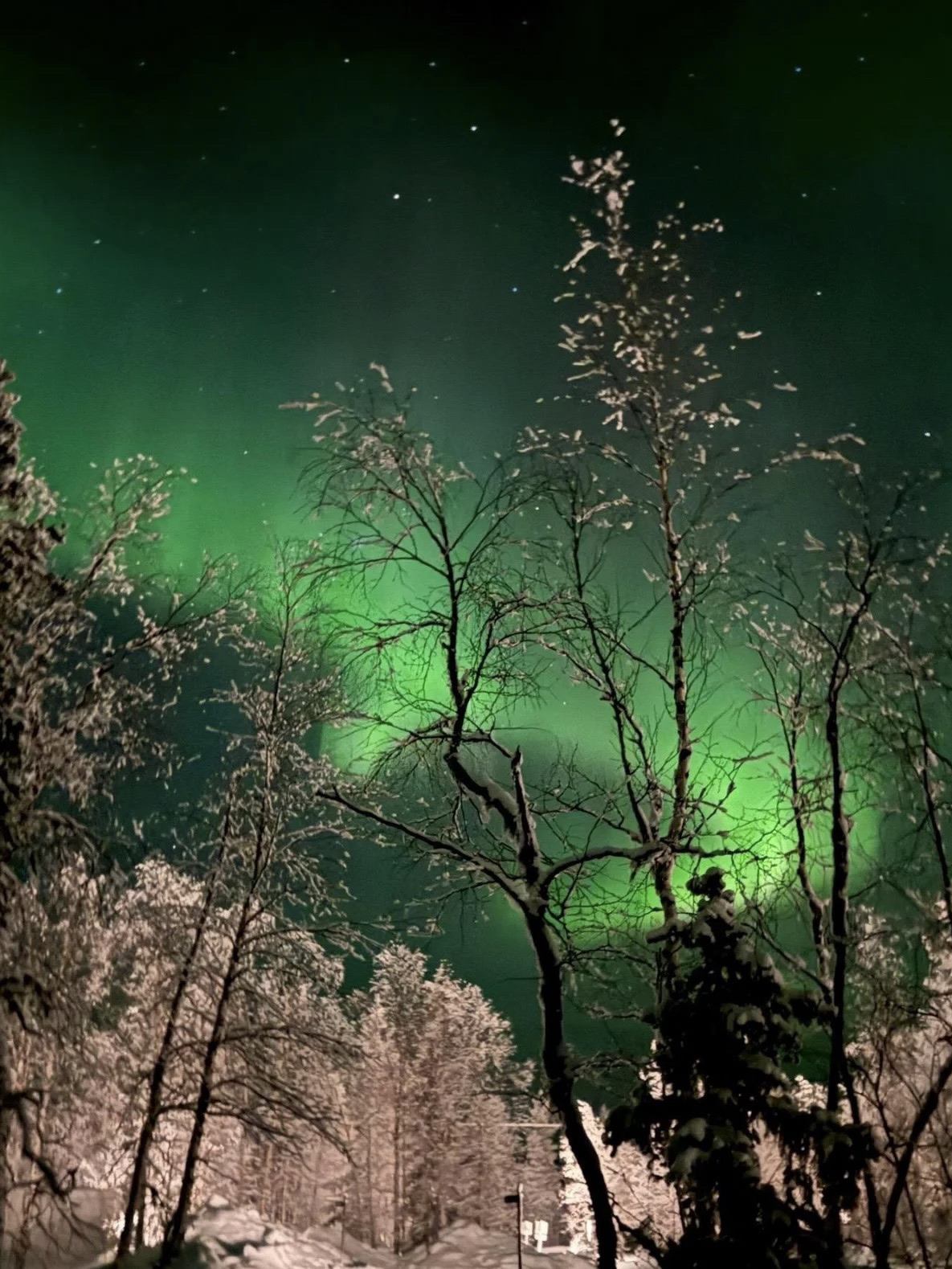 Things to Do in Mohe in 2025 - Top Attractions, Local Food, Hotels ...